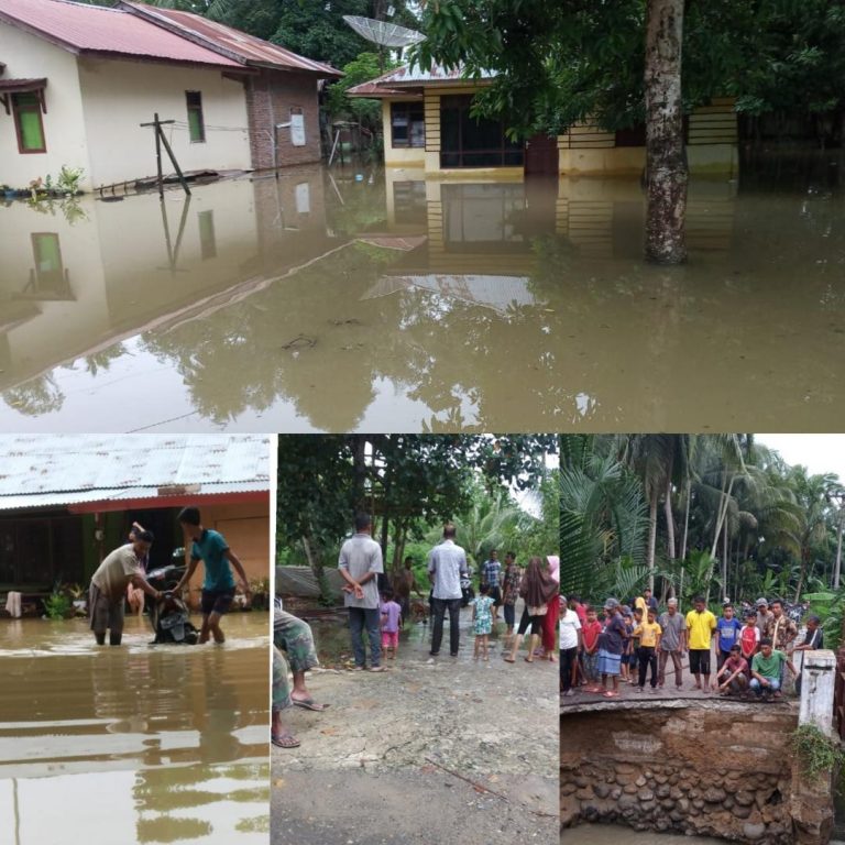 Banyak Desa Di Kabupaten Bireuen Terendam Banjir
