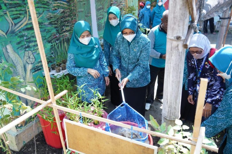 Fatma Gelar Lomba “Aku Hatinya PKK”, Ajak Masyarakat Manfaatkan Pekarangan Rumah untuk ...